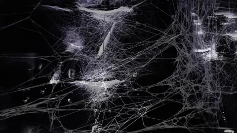 Cobweb Animation Stock Videos – Royalty-Free HD & 4K Videos