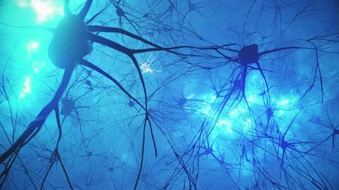 Activity S Stock Videos – Royalty-Free HD & 4K Videos