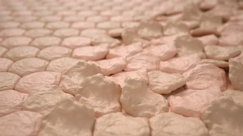 No Death Animation Stock Videos – Royalty-Free HD & 4K Videos | Pond5