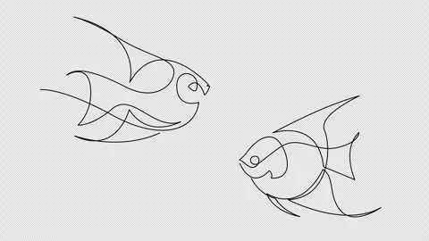 Animation of astrological Pisces sign on... | Stock Video | Pond5