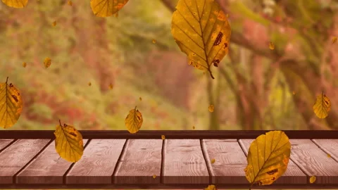 Falling Leaves Animation Stock Footage ~ Royalty Free Stock Videos | Pond5