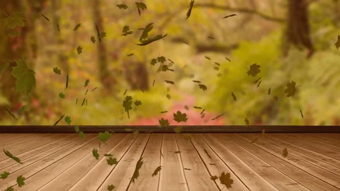 Falling Leaves Animation Stock Footage ~ Royalty Free Stock Videos | Pond5