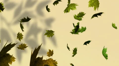 Animation of autumn leaves falling on ye... | Stock Video | Pond5