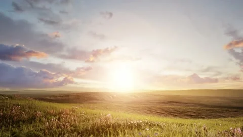animation background of a field with the... | Stock Video | Pond5