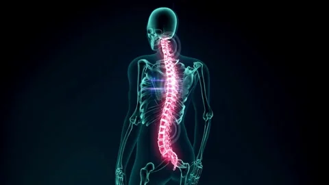 Animation background of painful back VFX... | Stock Video | Pond5