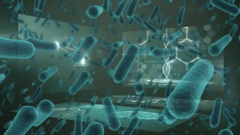 Animation of bacteria cells over science... | Stock Video | Pond5