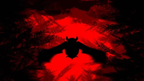 Bat Flapping Wings Stock Videos – Royalty-Free HD & 4K Videos | Pond5