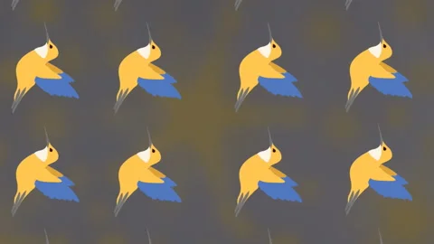 Birds Wallpaper Pattern Stock Videos – Royalty-Free HD & 4K Videos