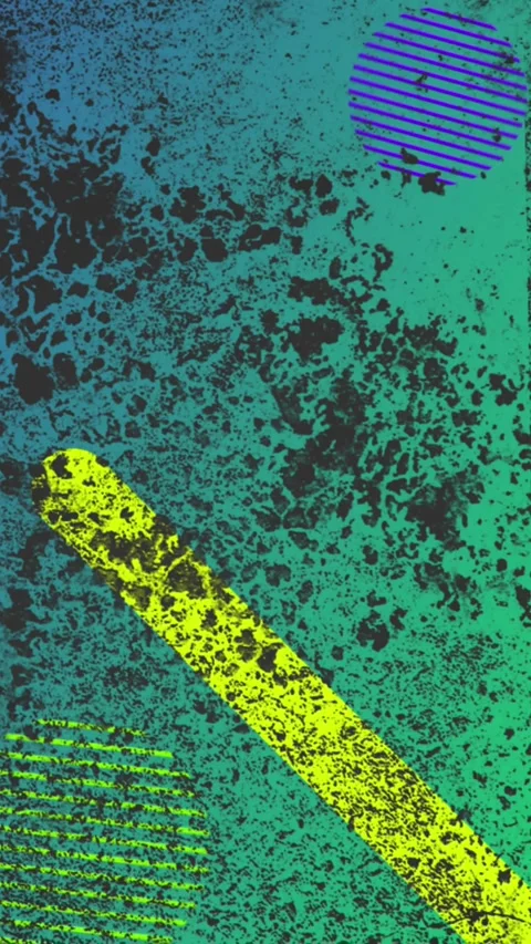 Black Overo Splash Stock Videos – Royalty-Free HD & 4K Videos