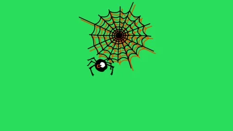 Animation Black spiders on green backgro... | Stock Video | Pond5