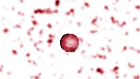 Animation of blood cell division | Stock Video | Pond5