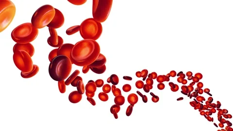 Blood Flow Animation Stock Video Footage | Royalty Free Blood Flow ...