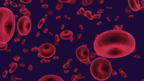 Animation of blood vessels floating agai... | Stock Video | Pond5