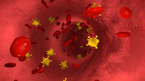 animation of bloodstream with blood cell... | Stock Video | Pond5