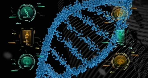 Animation of blue dna strand, human brai... | Stock Video | Pond5