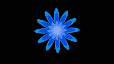 Animation of a blue flower spinning on a... | Stock Video | Pond5