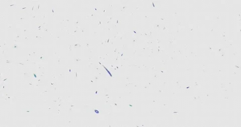 animation of blue green particles flying... | Stock Video | Pond5
