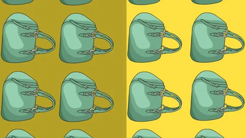 Handbags Video Stock Videos – Royalty-Free HD & 4K Videos | Pond5