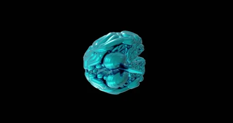 Animation of blue human brain spinning o... | Stock Video | Pond5