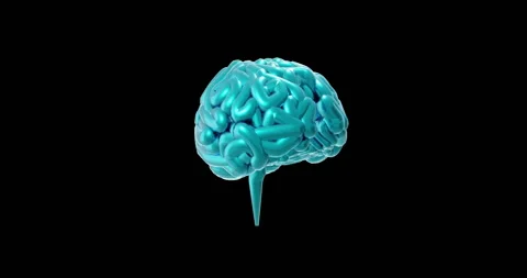 Animation of blue human brain spinning o... | Stock Video | Pond5