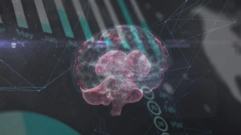 Animation of brain over graphs and conne... | Stock Video | Pond5