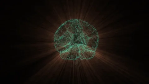 Animation of brain rotating on black spa... | Stock Video | Pond5