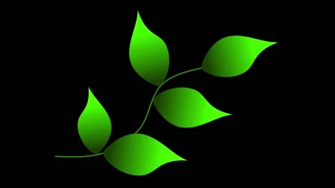 animation of a branch with green leaves | Stock Video | Pond5
