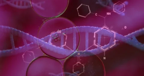Animation of bubbles over dna strand and... | Stock Video | Pond5
