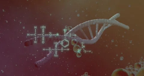 Animation of bubbles over dna strand and... | Stock Video | Pond5