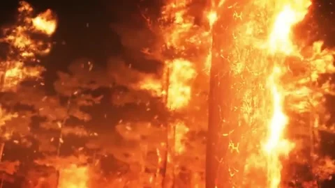 animation of a burning forest, flames of... | Stock Video | Pond5