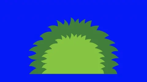 Animation of a bush icon on a blue scree... | Stock Video | Pond5