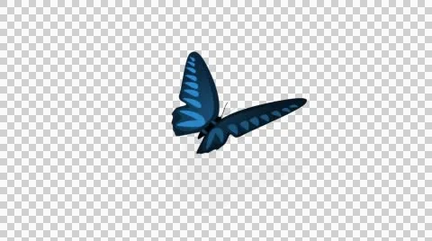 Butterfly Animation Alpha Stock Footage ~ Royalty Free Stock Videos | Pond5