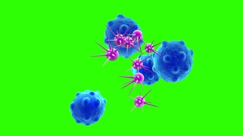 animation - cancer cells with high deta... | Stock Video | Pond5