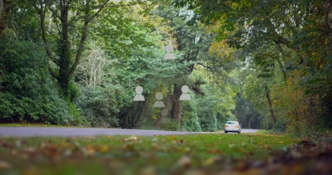 Animation of car driving on forest road ... | Stock Video | Pond5