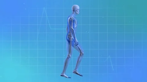 Animation of cardiograph and walking ske... | Stock Video | Pond5
