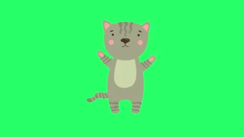 Cat Run Green Screen Stock Video Footage | Royalty Free Cat Run Green ...