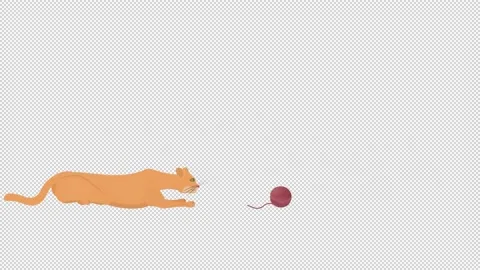 Animation of a cat playing with a ball o... | Stock Video | Pond5