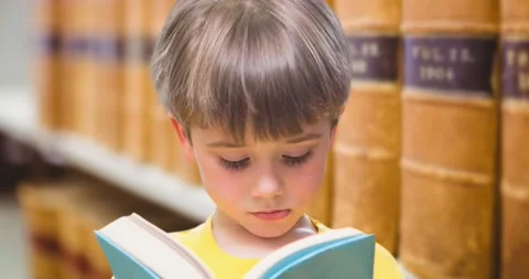 Animation of caucasian boy reading book ... | Stock Video | Pond5