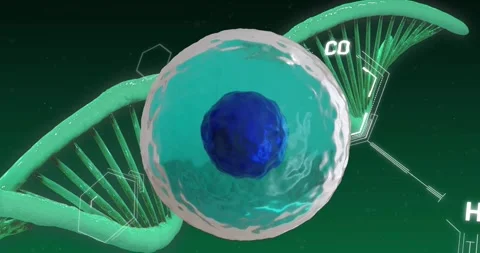 Animation of cell with data processing a... | Stock Video | Pond5