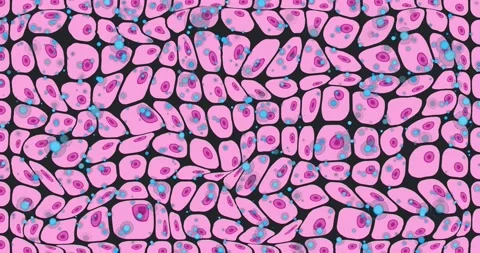 Animation of cell icons on black backgro... | Stock Video | Pond5