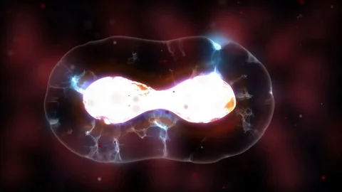 Animation of cells dividing. 4K UltraHD ... | Stock Video | Pond5