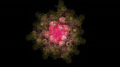 animation of cells,virus.lotus fancy pat... | Stock Video | Pond5