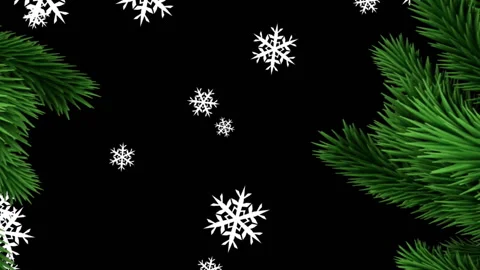 Snow Party Background Stock Videos – Royalty-Free HD & 4K Videos | Page 3