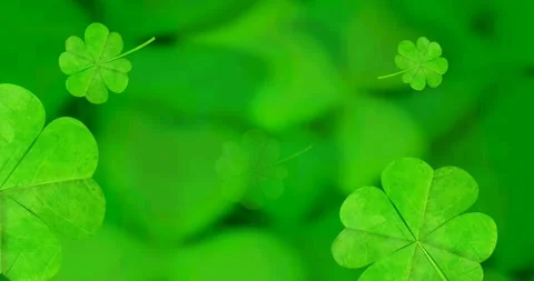 Animation of clover leaves falling spinn... | Stock Video | Pond5