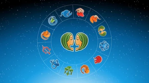 Gemini Star Animation Stock Footage ~ Royalty Free Stock Videos | Pond5