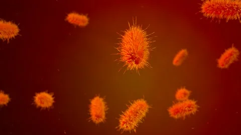 Microorganisms Bacteria Stock Video Footage | Royalty Free ...