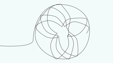 Seashell Drawing Stock Footage ~ Royalty Free Stock Videos | Pond5