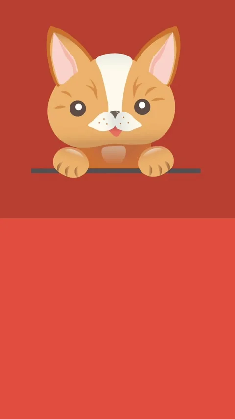 Animation of cute dogs on red and white ... | Stock Video | Pond5