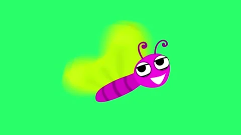 Animation cute insect on green backgroun... | Stock Video | Pond5