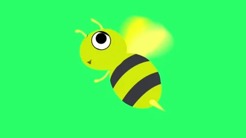 Animation cute insect on green backgroun... | Stock Video | Pond5